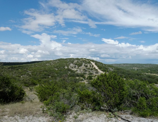 Native Wild Animals of Texas | Little Wild Streak